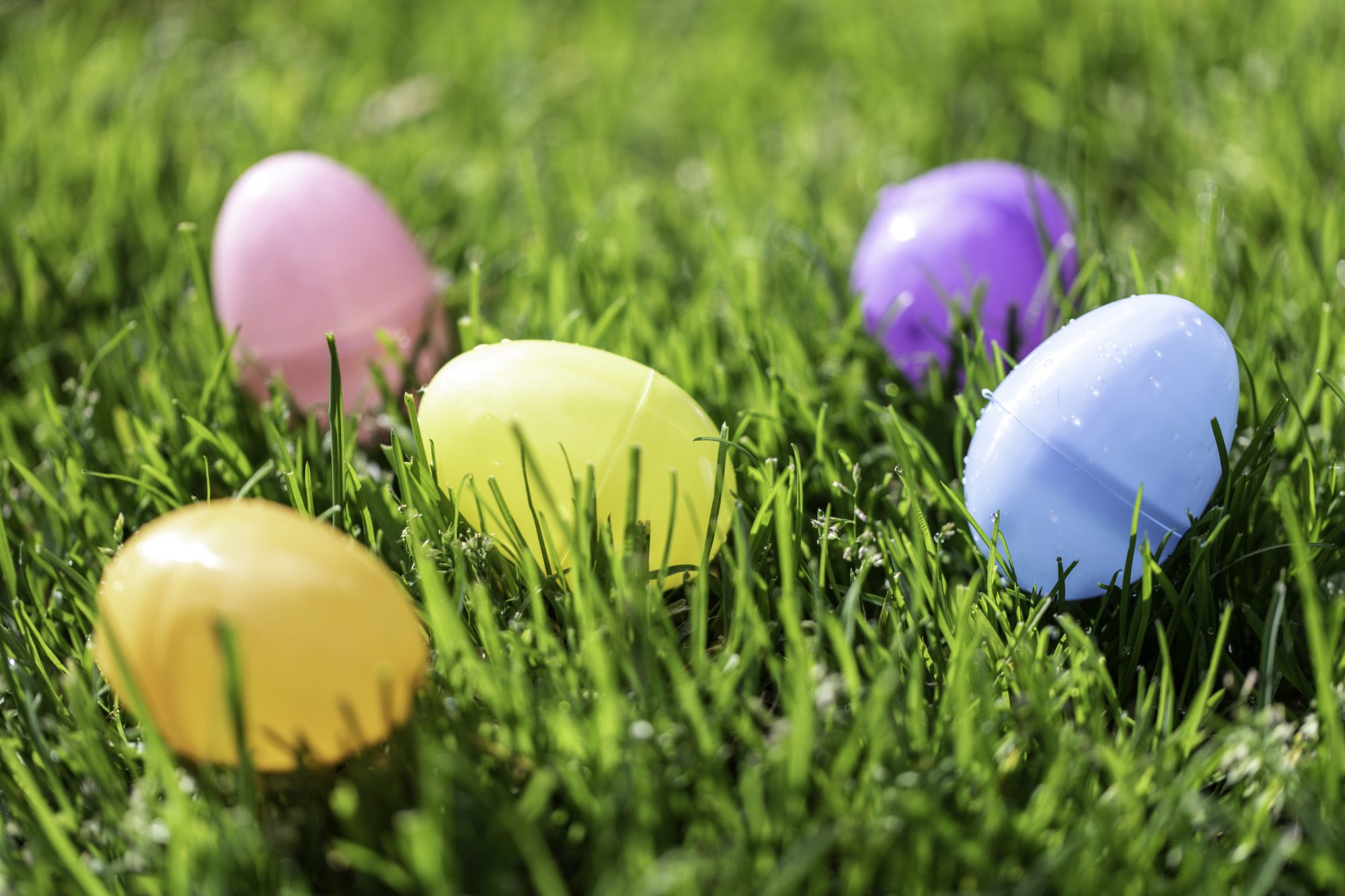 Phi Beta Psi Easter Egg Hunt | Pittsboro Indiana